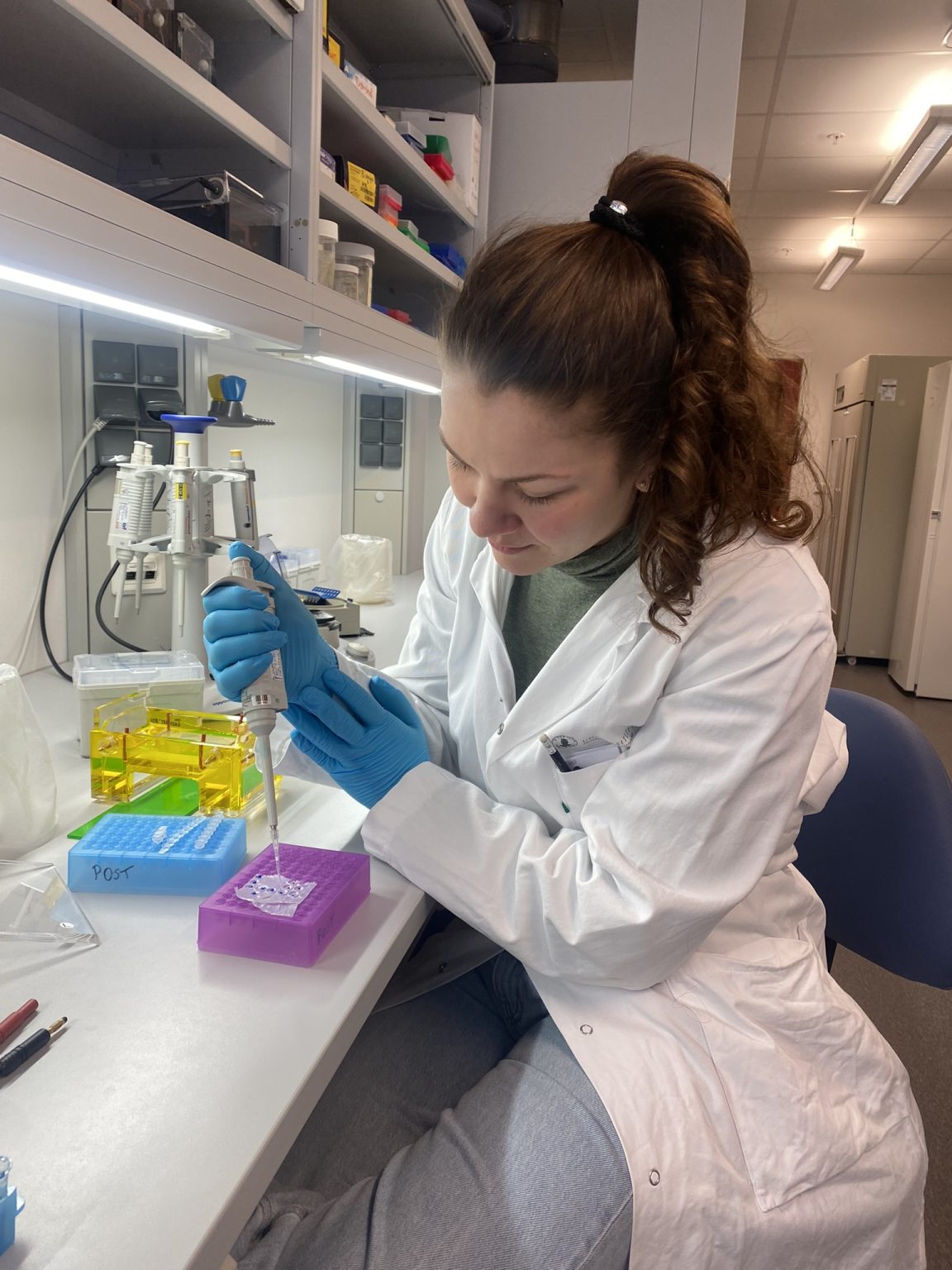 polychaeta | The Invertebrate Collections